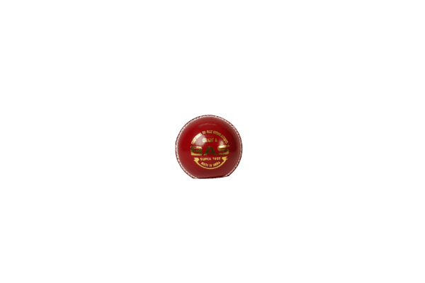 Cricket Ball Red Super Test 156g - Stadium Sport